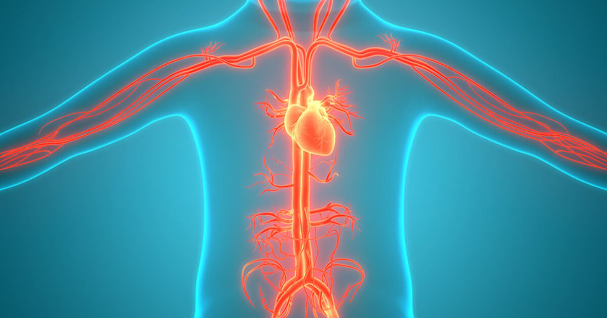 Acute Aortic Dissection | Clinician.com