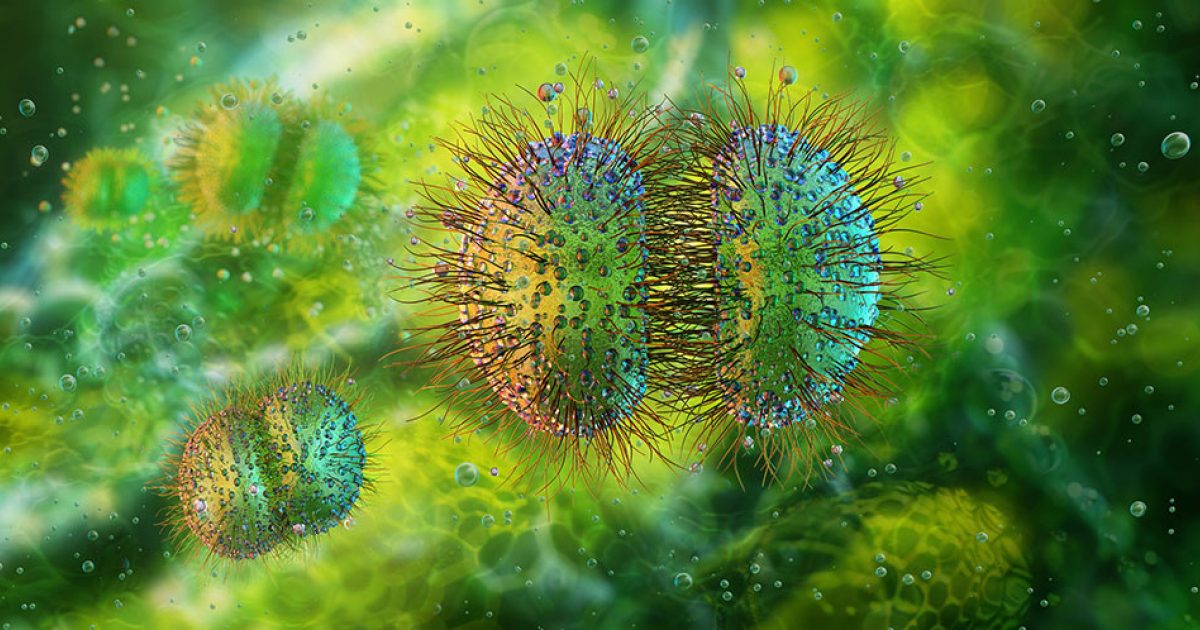 Meningococcal Conjunctivitis in Military Trainees | Clinician.com