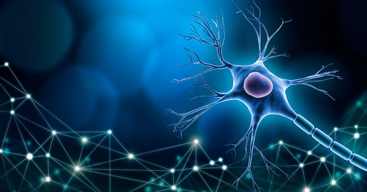 Neurofilament Light Chain: Differentiating bvFTD from… | Clinician.com