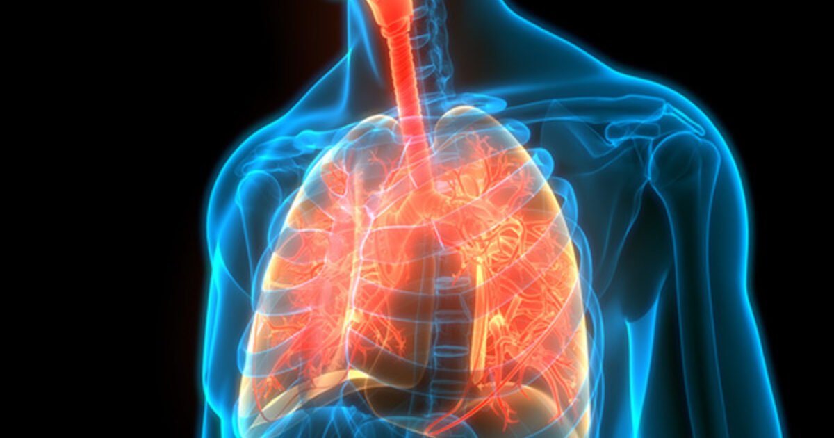 Persistent Asthma Patients Show More Plaque Buildup,… | Clinician.com