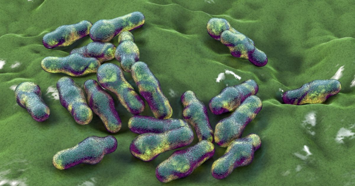 Why Does Colonization Become Active C. difficile? | Clinician.com
